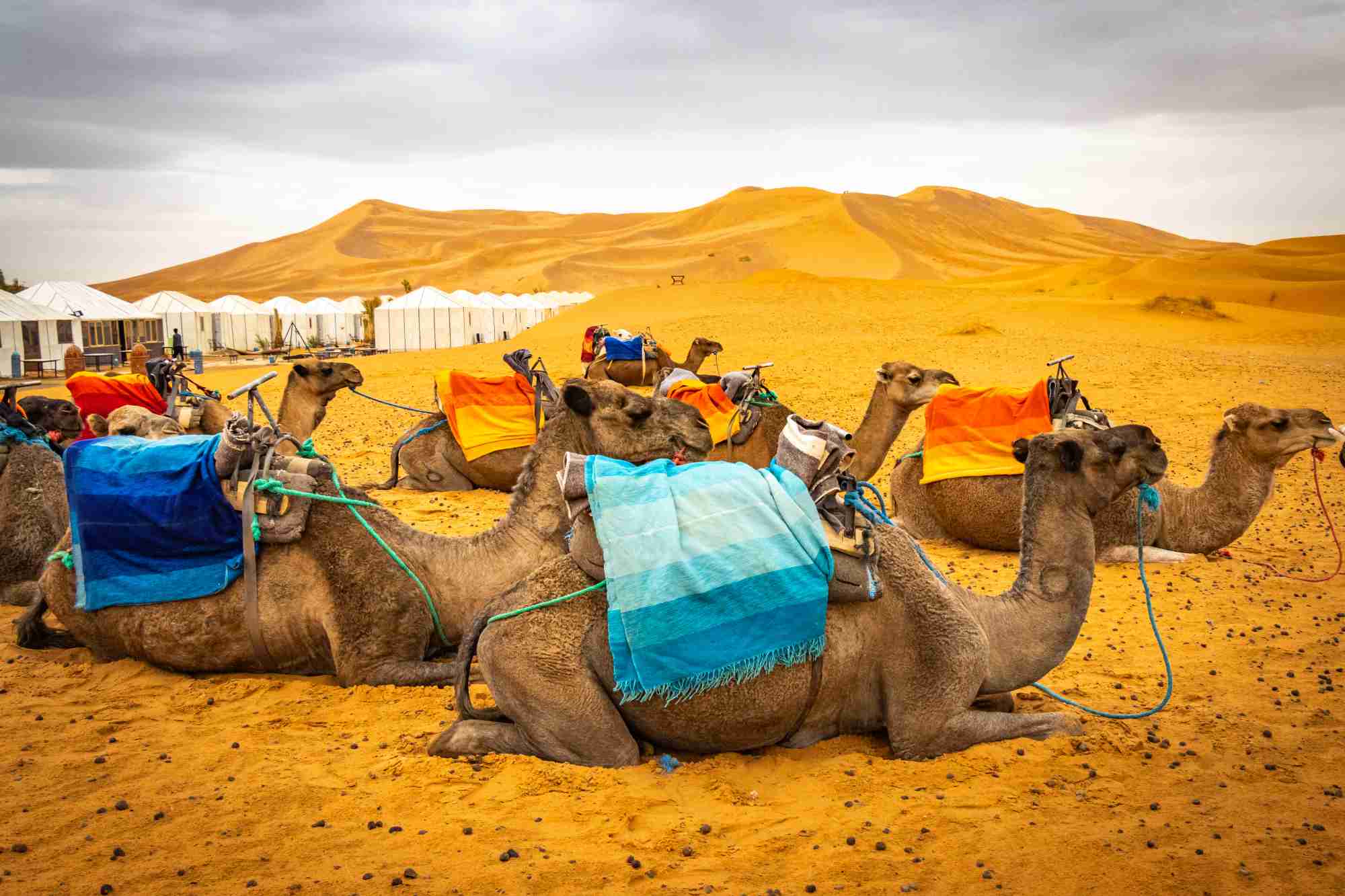 4-day Sahara Desert Tour from Marrakech to Erg Chigaga