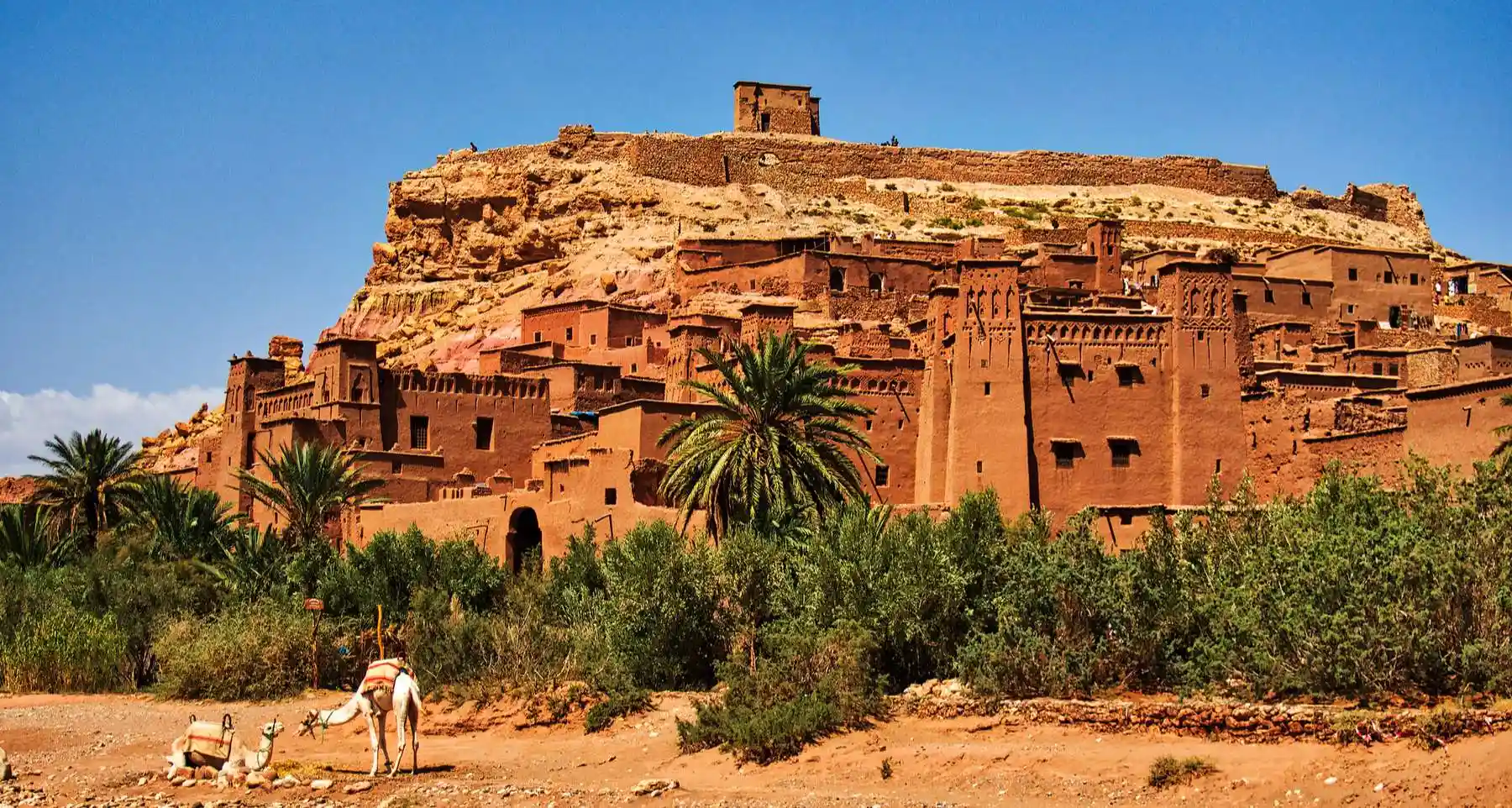 Morocco Luxury Tours – Premium Private Escapes | Aisha Morocco Tours